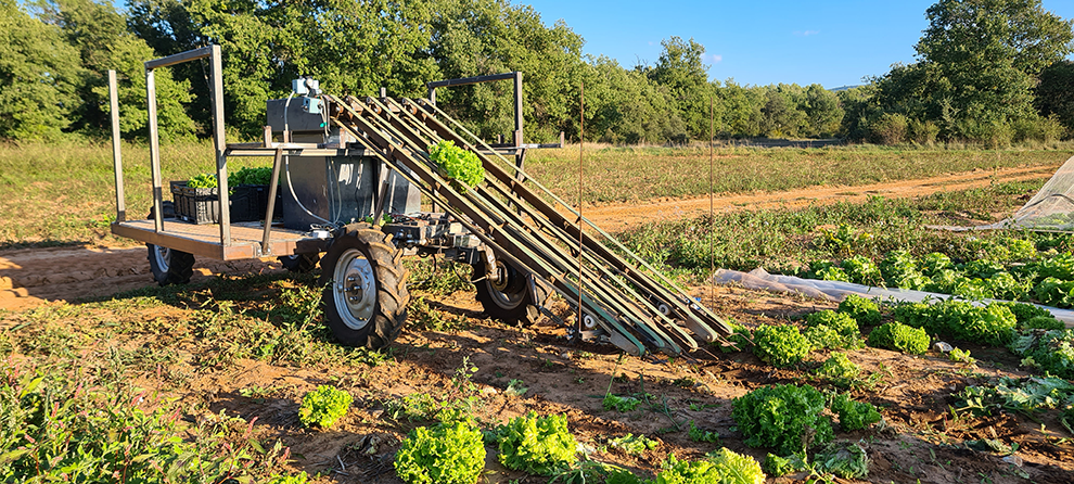 Agriculture - OZO Energies